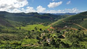 Coffee Growing Regions: A Guide to World's Finest Beans - Coffee & Tea ...