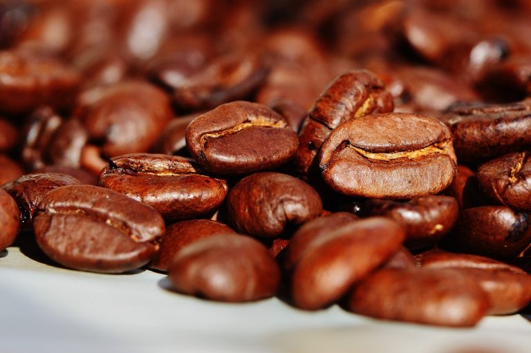 Coffee Roasting Stages: A Quick Guide for Beginners - Coffee & Tea Kingdom
