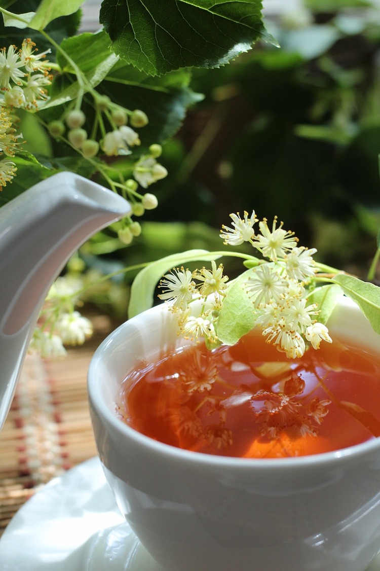 Lime Flower Tea: A Guide to Brewing and Benefits - Coffee & Tea Kingdom